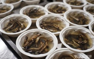 沙虫冻为什么叫土笋冻_土笋冻和沙虫的关系