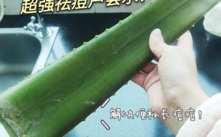 芦荟怎么吃_芦荟的做法视频教程