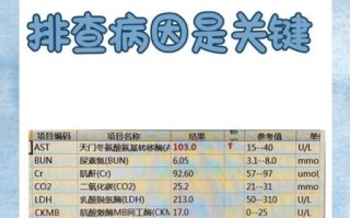 淀粉酶正常值范围是多少_血清淀粉酶偏高怎么办