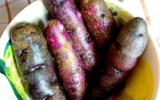 紫土豆怎么吃_紫土豆的做法大全