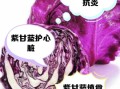 生吃紫甘蓝有什么坏处_紫甘蓝生吃会拉肚子吗