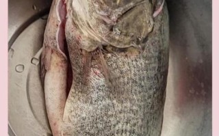 鳜鱼多少钱一斤_鳜鱼怎么做好吃