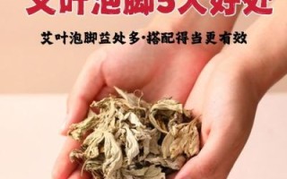 艾叶泡脚的功效与作用_艾叶的副作用有哪些