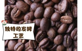 咖啡豆是什么动物粪便_猫屎咖啡真相