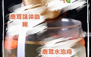 鹿茸片怎么泡水_鹿茸片泡水一次放多少