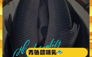 青鱼的营养价值及功效与作用_青鱼适合什么人吃