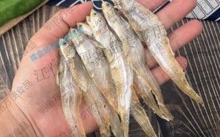 毛刀鱼干怎么晒_毛刀鱼干怎么做好吃