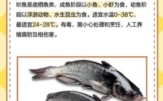 鮰鱼干净吗_鮰鱼有污染吗