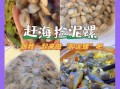 泥螺是什么_泥螺怎么吃