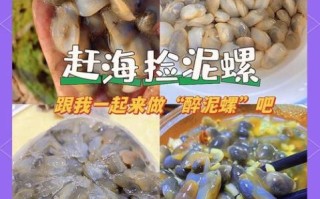 泥螺是什么_泥螺怎么吃
