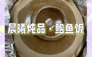 晨曦鲍鱼饭加盟费多少_晨曦鲍鱼饭好吃吗
