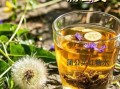 蒲公英泡水喝有什么功效_蒲公英泡水喝的8种搭配