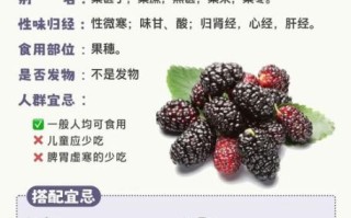 桑葚怎么吃最好_桑葚一天吃多少合适