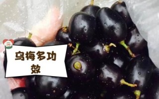 乌梅图片大全_乌梅长什么样