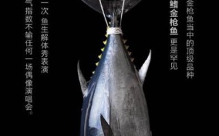 蓝鳍金枪鱼最大记录_世界纪录是多少