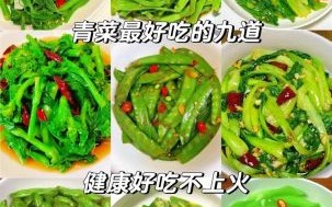 家常青菜有哪些_家常青菜怎么炒好吃