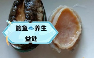 吃鲍鱼的好处有哪些_鲍鱼的营养价值与功效