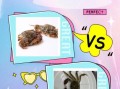 石头蟹怎么挑选_石头蟹和梭子蟹区别