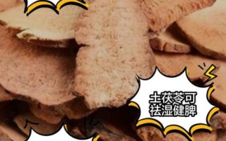 土茯苓的功效与作用_土茯苓能治疗痛风吗