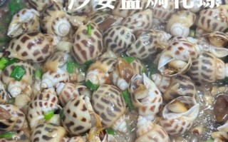 炒沙螺的家常做法_沙螺怎么炒才好吃