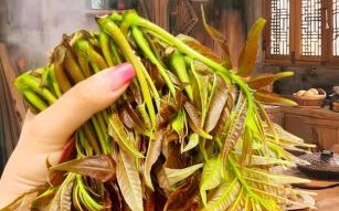 香椿怎么吃才安全_香椿芽怎么焯水去毒