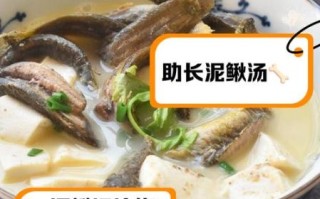 泥鳅汤对女人的功效_女人喝泥鳅汤的好处