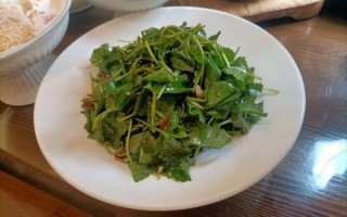 山野菜有哪些种类_常见山野菜怎么吃