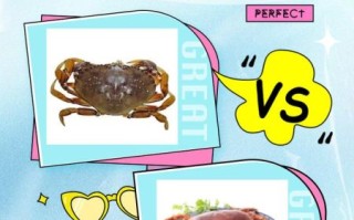 珍宝蟹好吃吗_珍宝蟹口感如何