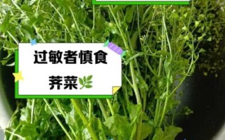 什么人不能吃荠菜_荠菜禁忌人群有哪些