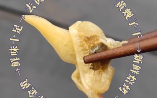 蚬子肉怎么去内脏_蚬子内脏清理技巧