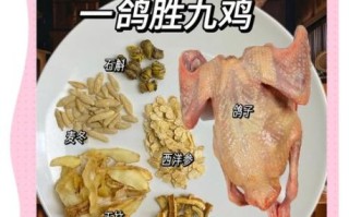 炖鸽子放什么材料补气血_鸽子汤气血双补食材清单