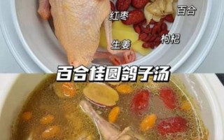 鸽子炖鸡怎么炖最营养_鸽子炖鸡炖多久最好