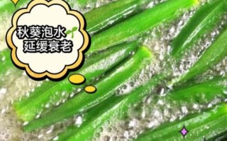 秋葵的功效与作用及副作用_秋葵怎么吃最健康