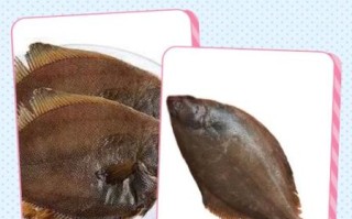 偏口鱼和比目鱼的区别_哪个更常见