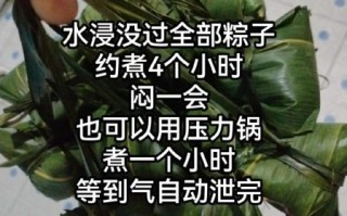 肉粽子怎么包才能入味_肉粽腌制技巧