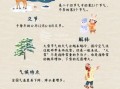 大雪节气的由来是什么_大雪节气有哪些传统习俗