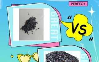 真黑米和假黑米怎么区分_真黑米泡水掉色正常吗