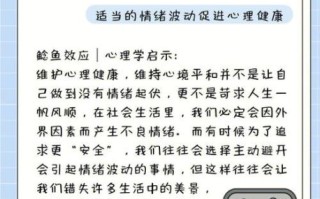 鲶鱼效应的优缺点_如何平衡激励与风险