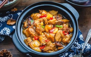 黄焖鸡图片怎么拍好看_黄焖鸡米饭摆盘技巧