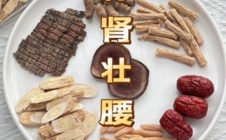 补肾壮阳汤有哪些_什么汤补肾壮阳最快