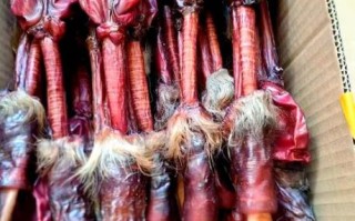 壮阳什么鞭最好_鹿鞭牛鞭马鞭哪个壮阳效果强