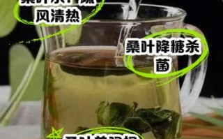 桑叶降血糖吗_桑叶茶怎么喝才有效