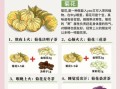 降火茶哪个效果最好_降火茶怎么选