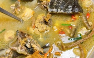 甲鱼怎么做好吃_甲鱼怎么炖汤最补