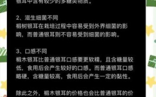 白木耳和银耳是一样的吗_白木耳与银耳的区别