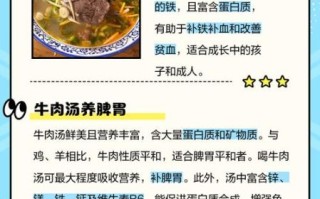 牛肉汤的功效与作用_牛肉汤的营养价值有哪些