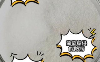 葡萄的热量和糖分高吗_减肥能吃吗