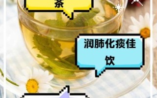 清肺润肺的茶有哪些_怎么喝最有效