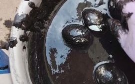 鸭蛋怎么腌制皮蛋_皮蛋的腌制方法