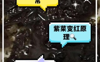 天天吃紫菜两个月后变化_紫菜长期吃有什么副作用